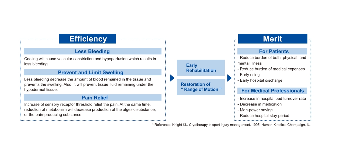 ICING SYSTEM CE4000 - SIGMAX